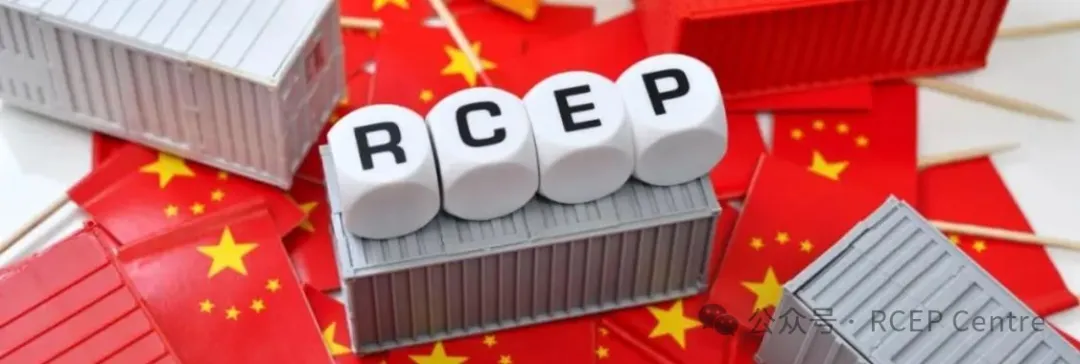 RCEP全面生效一周年 区域开放合作迈上新台阶 - RCEP Centre